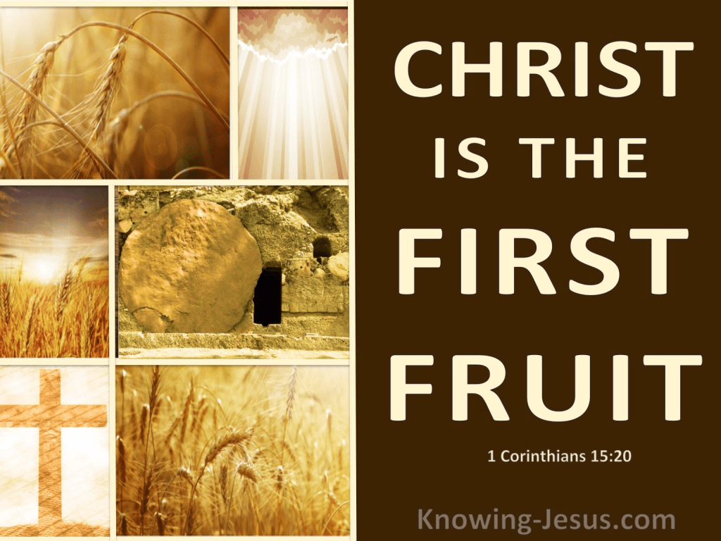 A Pledge of Hope - The Light of Christ Journey