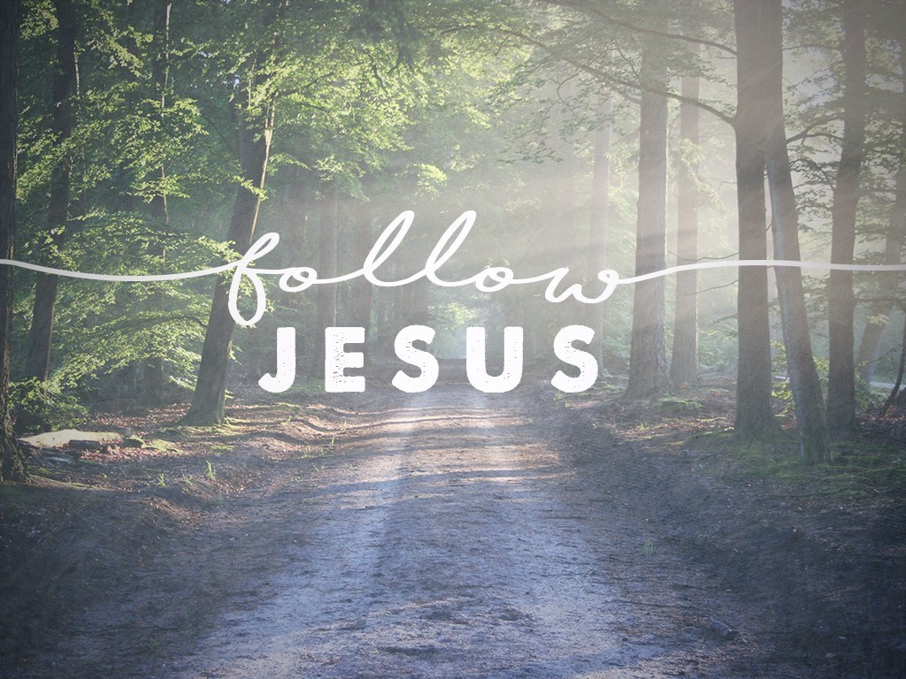 Will You Follow Jesus? - The Light of Christ Journey