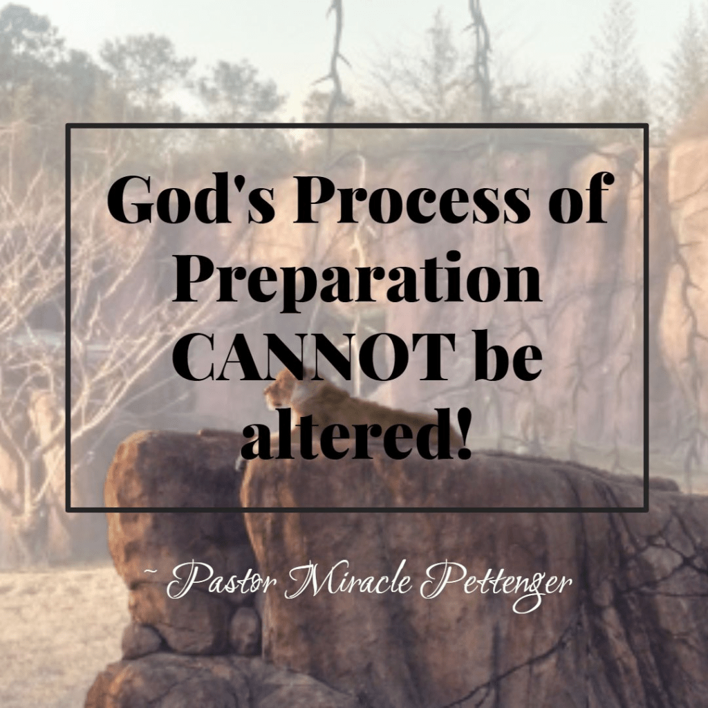 God's Preparation Process - The Light of Christ Journey