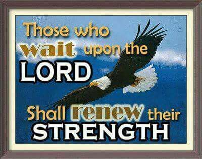 Renew Me - The Light of Christ Journey