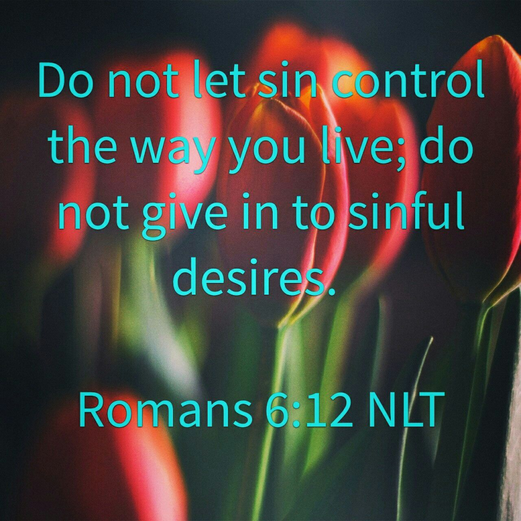 Revolt Against Sin - The Light of Christ Journey