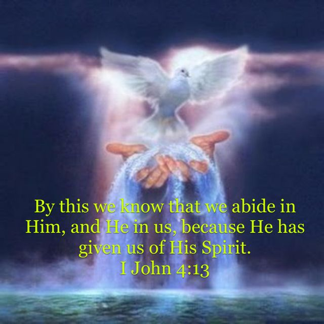 Abide in Jesus - The Light of Christ Journey