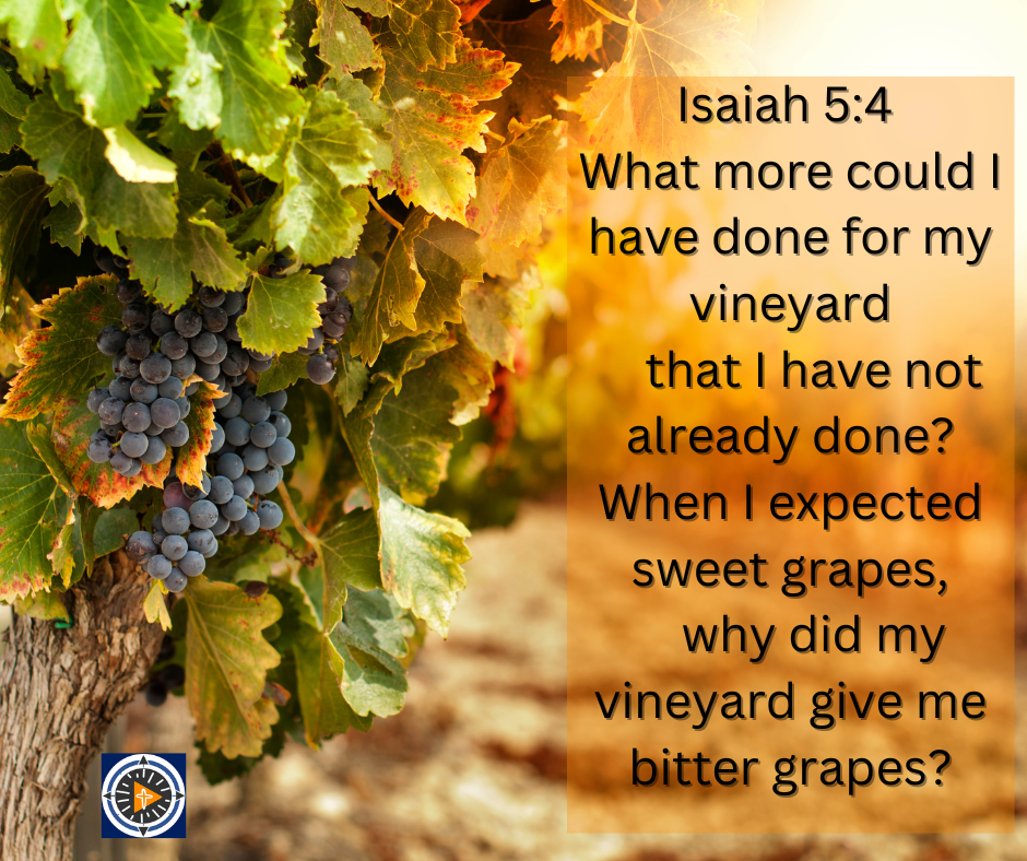 Israel the Vineyard - The Light of Christ Journey