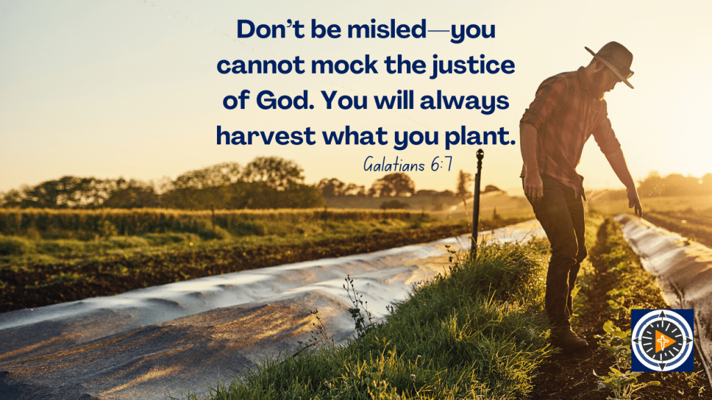 Reap What You Sow - The Light of Christ Journey