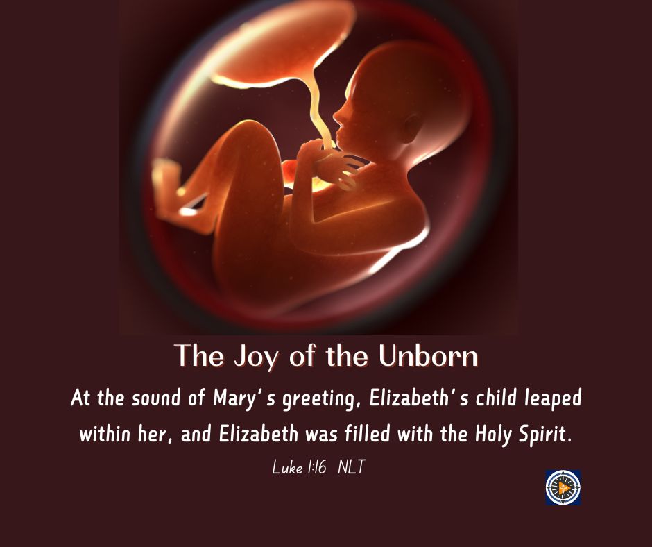 The Joy of the Unborn - The Light of Christ Journey