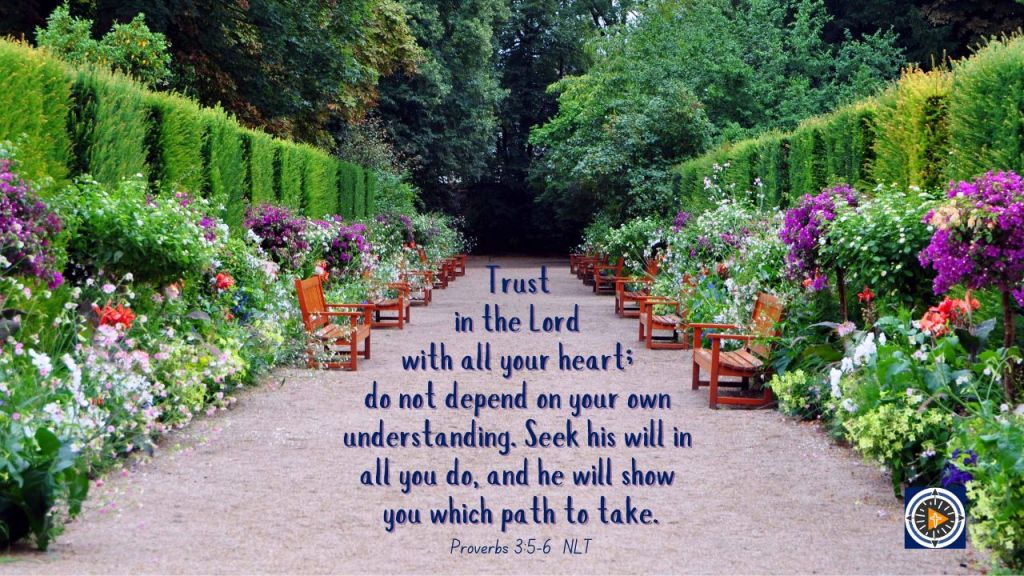 We Are Easily Deceived When Looking Down - The Light of Christ Journey