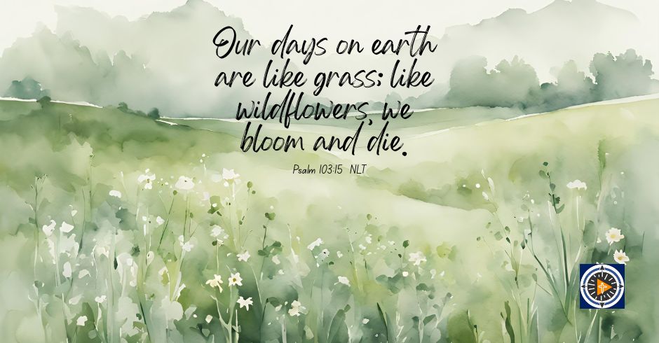 The Blessings of Following Jesus - The Light of Christ Journey