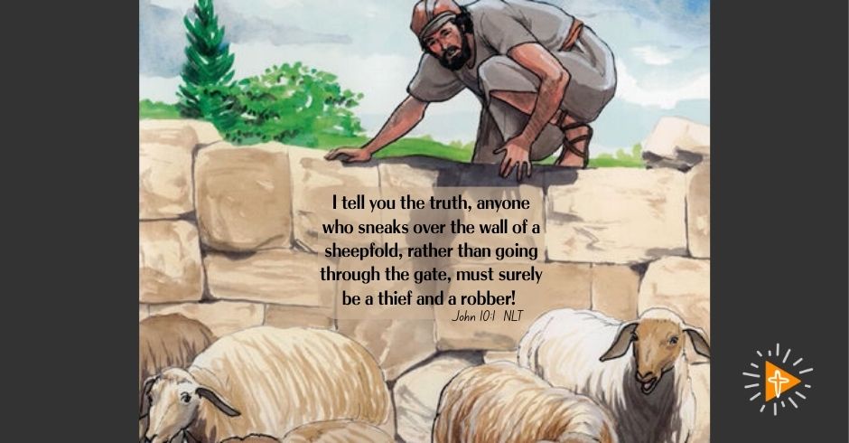 The Danger of False Shepherds - The Light of Christ Journey