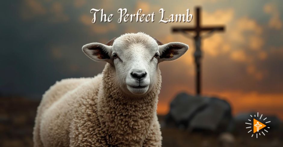 A Perfect Lamb - The Light of Christ Journey